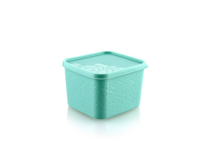 1000 ML DEEP ICY FREEZER BOX