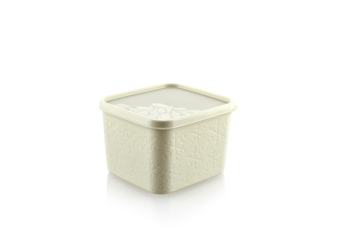 1000 ML DEEP ICY FREEZER BOX